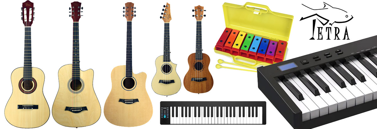 Music Instruments For Beginners & Intermediate Players